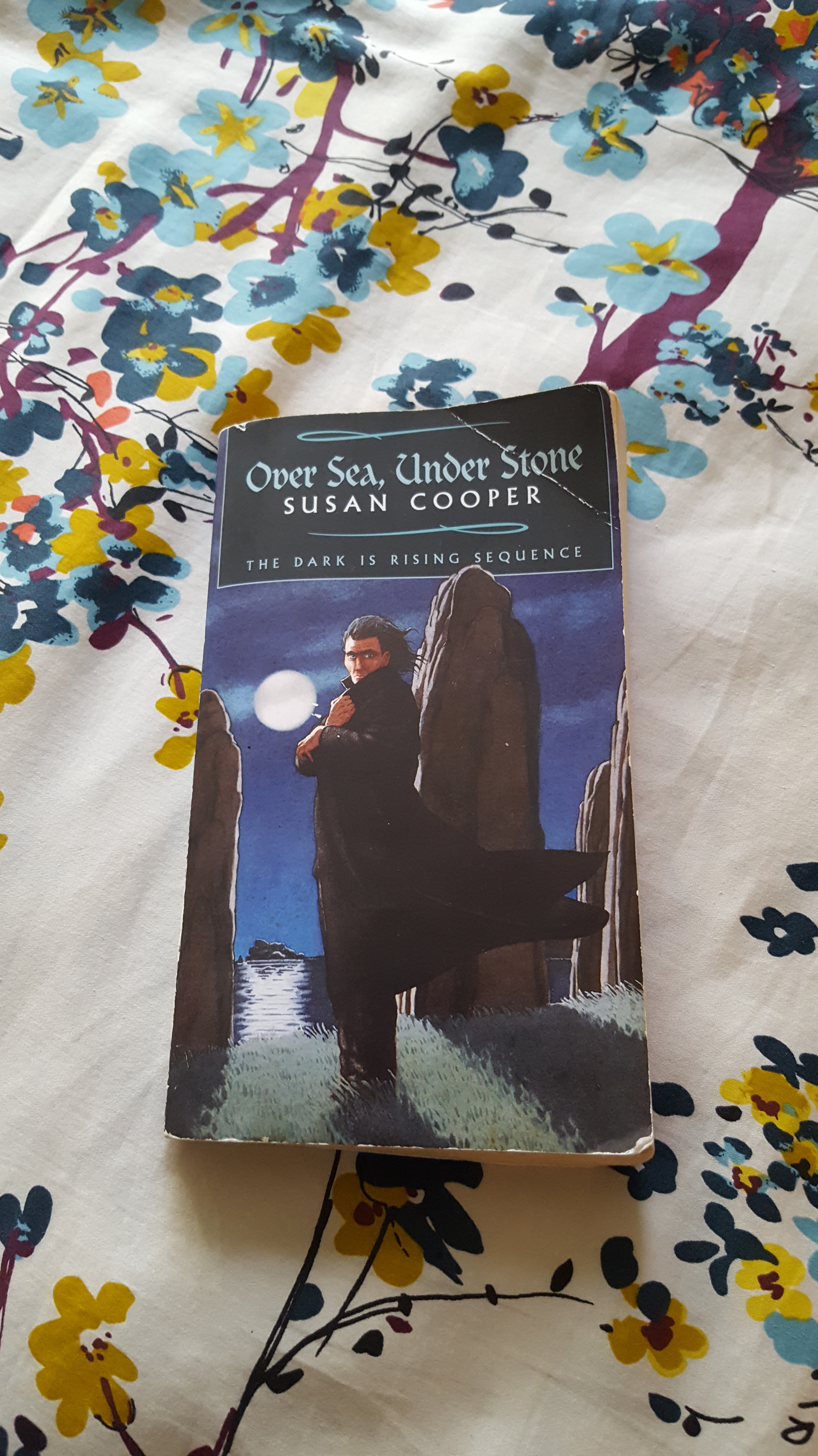 Over Sea, Under Stone – Books and Brazilian Jiu-Jitsu